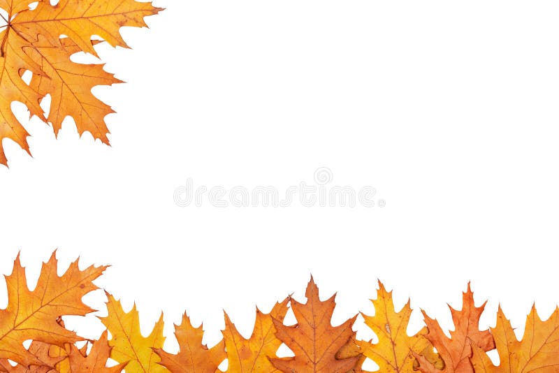 Autumn border stock photo. Image of foliage, space, edge - 11691646