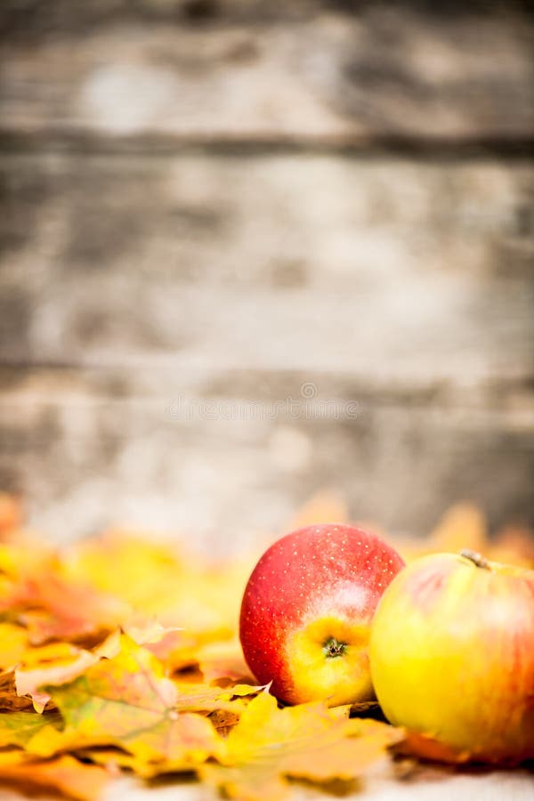 Autumn Border from Apples and Leaves Stock Image - Image of blank, diet ...