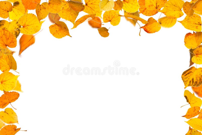 Autumn border stock image. Image of design, abstract - 55741973