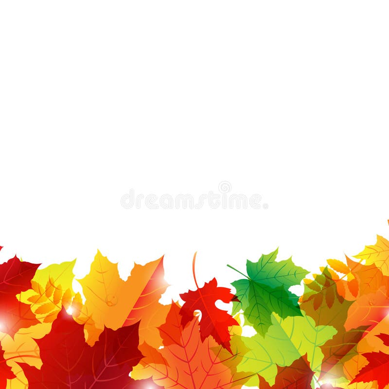 Autumn Border stock vector. Illustration of forest, maple - 195759758