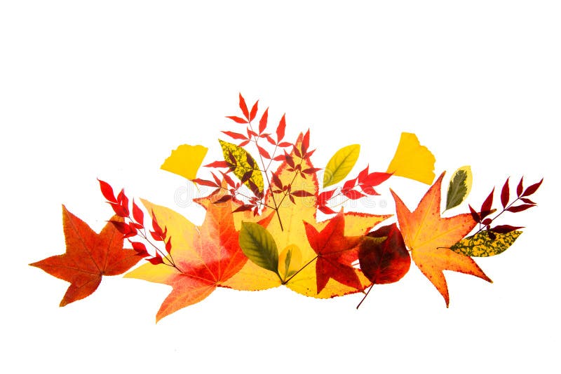 Autumn Borders and Frames for Design Banners, Leaflets, Posters with ...