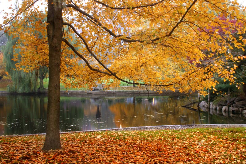 Autumn at Boston Common editorial photo. Image of orange - 264636