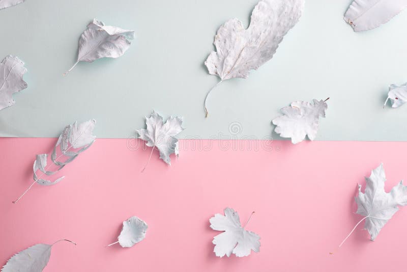 Autumn Botanical Background with Copy Space. Autumn Background Autumn ...