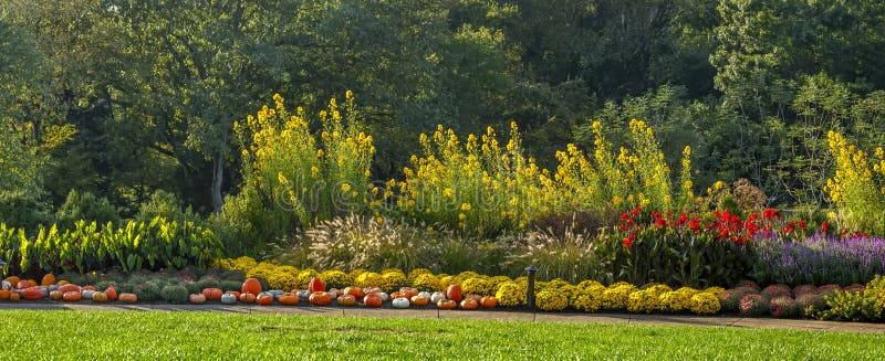 Autumn Botanical Garden Display Stock Image - Image of botanical, mums ...