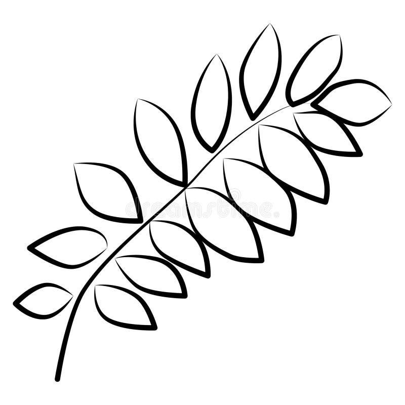 Autumn Botanical Line Drawing Set, Hand Drawn Fall Floral Elements ...