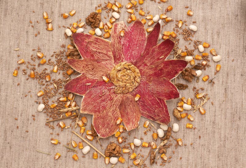 Autumn Bounty Picture. Image: 3445358