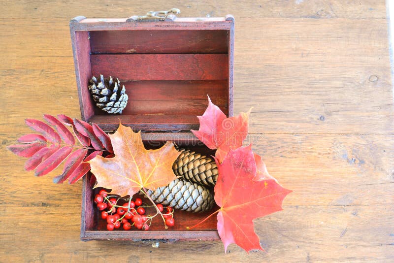 Autumn in a box stock photo. Image of goodies, winter - 64655068