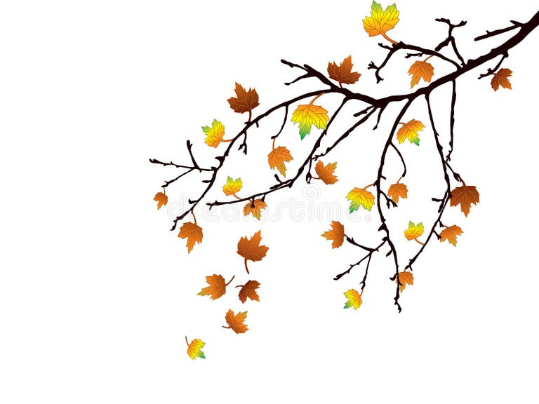 Autumn Branch Clip Art Stock Illustrations – 8,054 Autumn Branch Clip ...