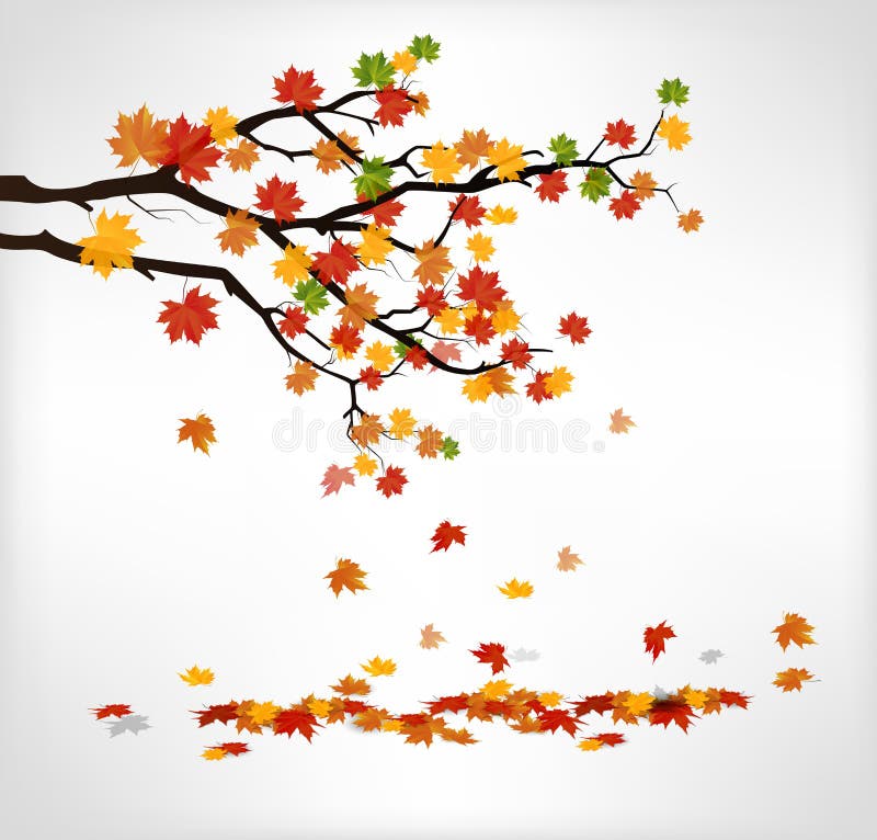 Autumn Branch with Falling Leaves Stock Vector - Illustration of maple ...