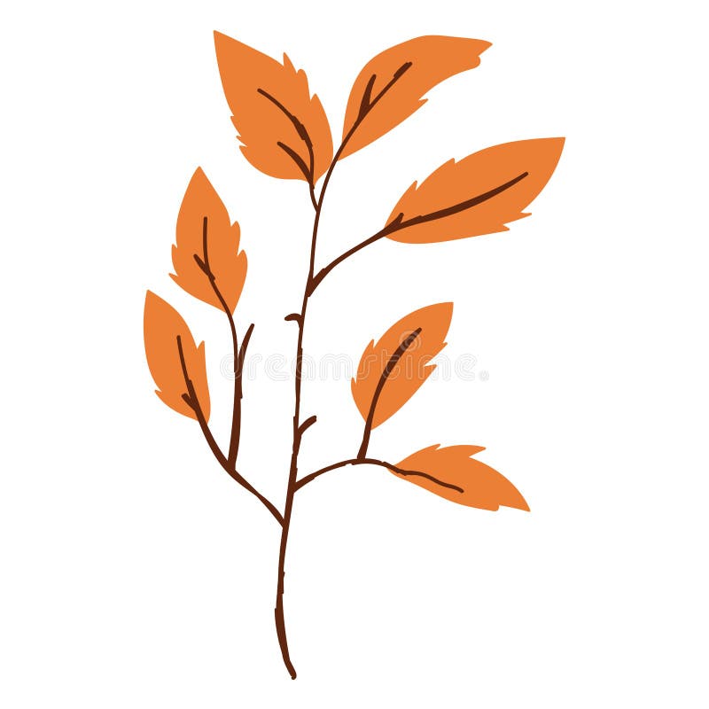 Autumn branch leaves stock vector. Illustration of seasonal - 255964435