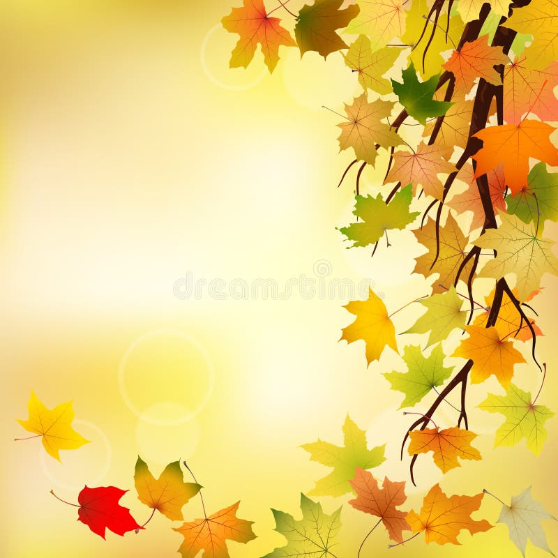 Autumn branch stock vector. Illustration of maple, decoration - 58943028