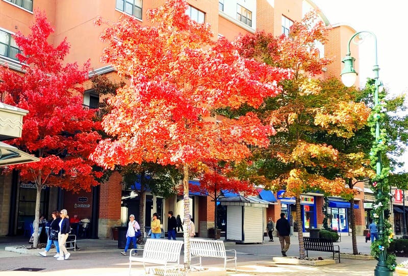 Autumn in Branson Along the Boardwalk. Editorial Photo - Image of ...