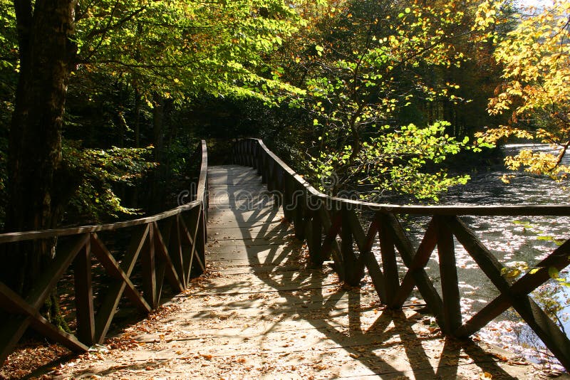 Autumn bridge stock photo. Image of sunny, cross, autumn - 466162