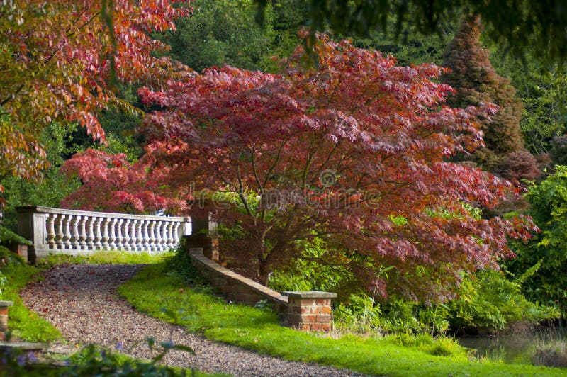 Historic Bridge in Autumn Path Stock Image - Image of garden, park ...