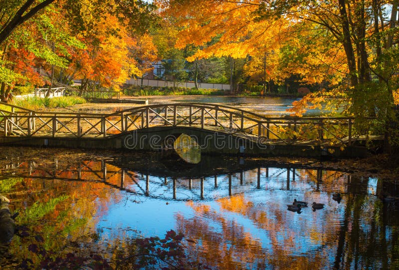 Autumn, bridge and river stock photo. Image of sunset - 81442342