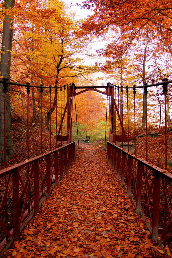 Autumn bridge stock photo. Image of enchanted, green - 47867644
