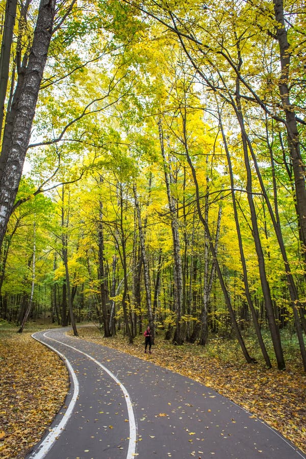 Moscow warm October 2018 stock photo. Image of season - 130204002