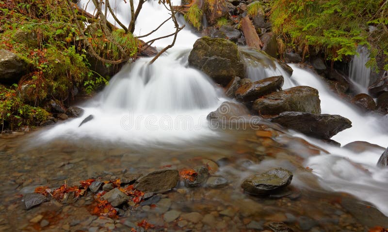 Autumn brook stock image. Image of daylight, leaf, fluid - 11814765