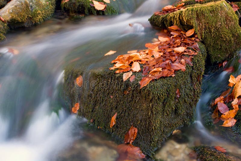Autumn brook stock photo. Image of landscape, creek, beauty - 17465866