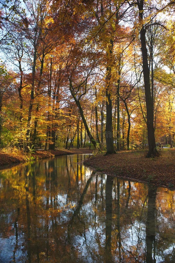 Autumn brook stock photo. Image of stem, leaf, brook - 22051620