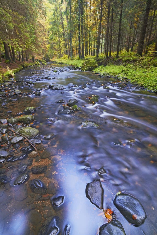 Autumn brook stock image. Image of landscape, motion - 63742783