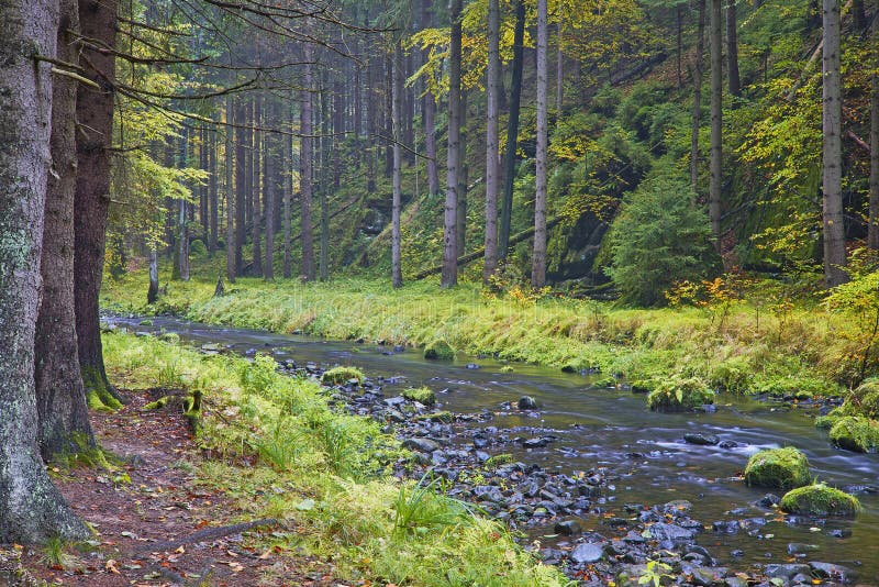 Autumn brook stock photo. Image of motion, creek, autumnal - 63742820