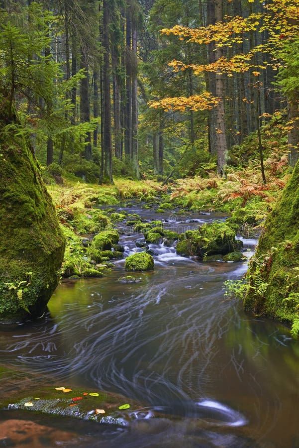 Autumn brook stock image. Image of river, leaf, brook - 64473651