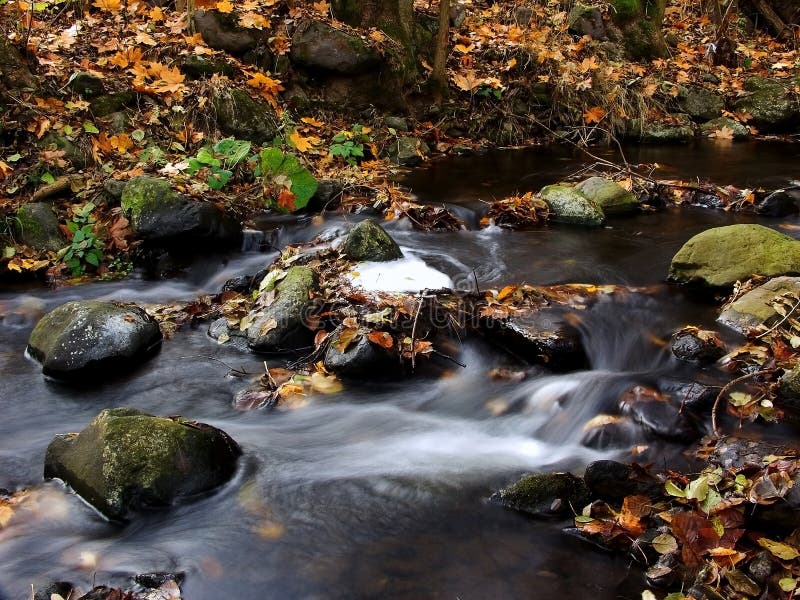 Autumn brook stock image. Image of autumnal, color, season - 45549285