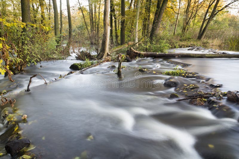 Autumn brook stock photo. Image of natural, leaves, creek - 79549974