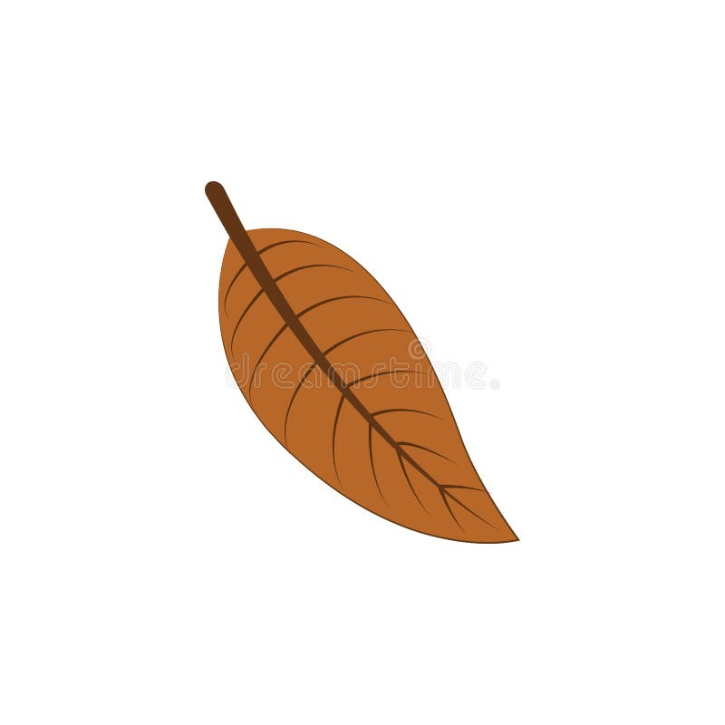 Autumn Brown Color Leaf Illustration Stock Illustration - Illustration ...