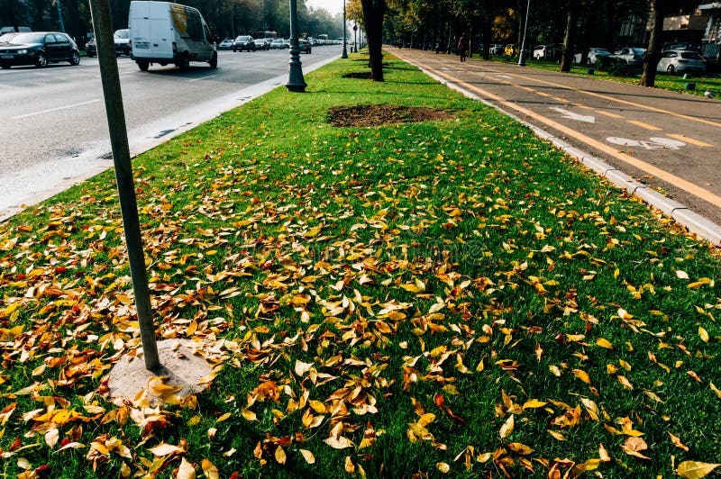Autumn in Bucharest City, Romania Editorial Image - Image of city ...