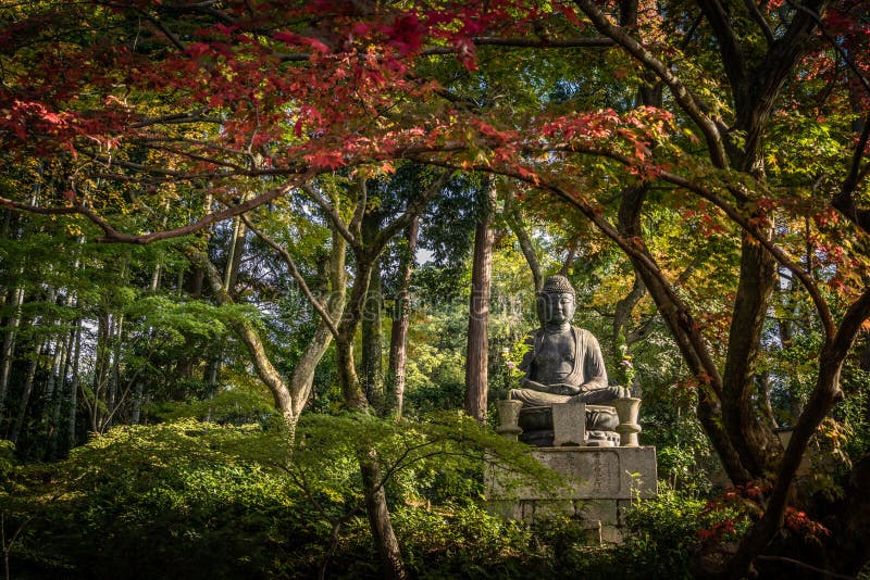 Buddha Fall Leaves Stock Images - Download 272 Royalty Free Photos