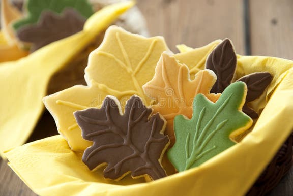 Autumn Buiscuit Closeup stock image. Image of colorful - 43804089