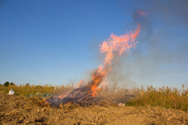 Autumn burns dry grass stock image. Image of ecology - 121848685