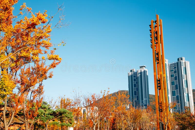 Autumn of Busan Citizens Park in Busan, Korea Stock Image - Image of ...
