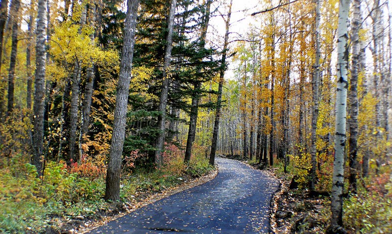 Autumn Calgary Alberta ( 9) Bild. Bild: 97838002