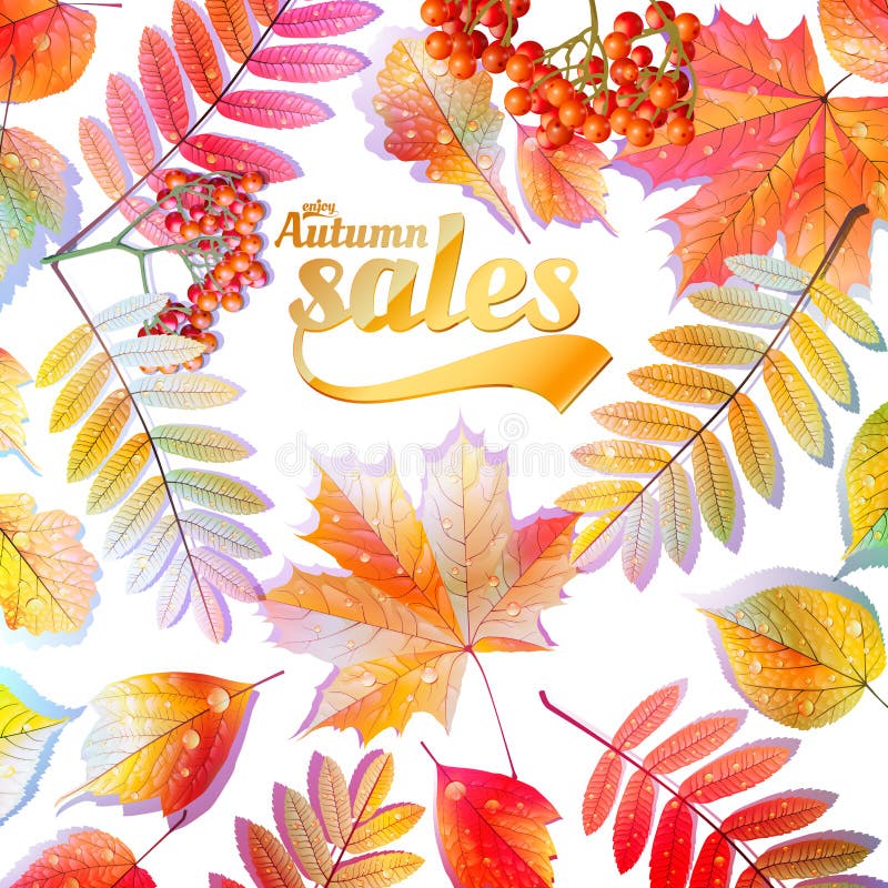 Autumn Calligraphy Sale on Detailed Leafs. Stock Vector - Illustration ...