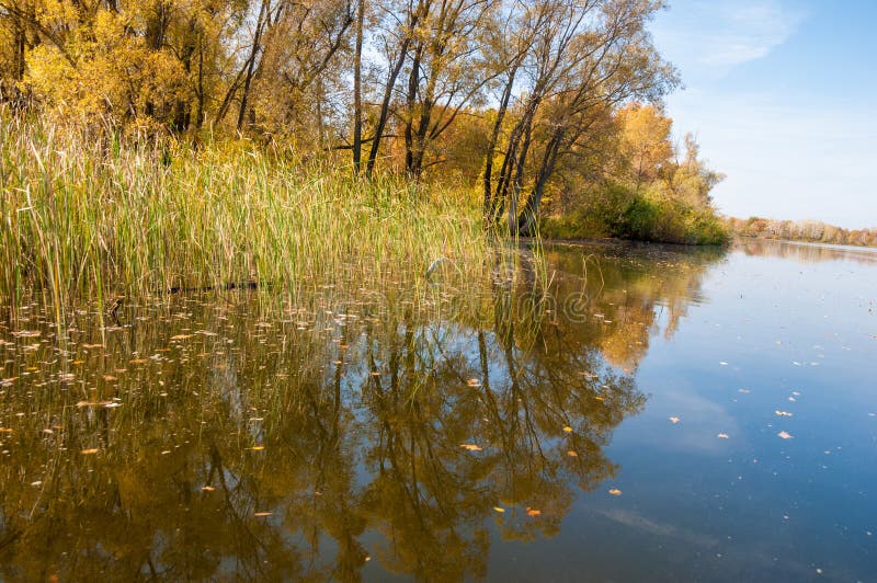 Autumn Calm on the Lake Reflection of Trees in Water Stock Image ...
