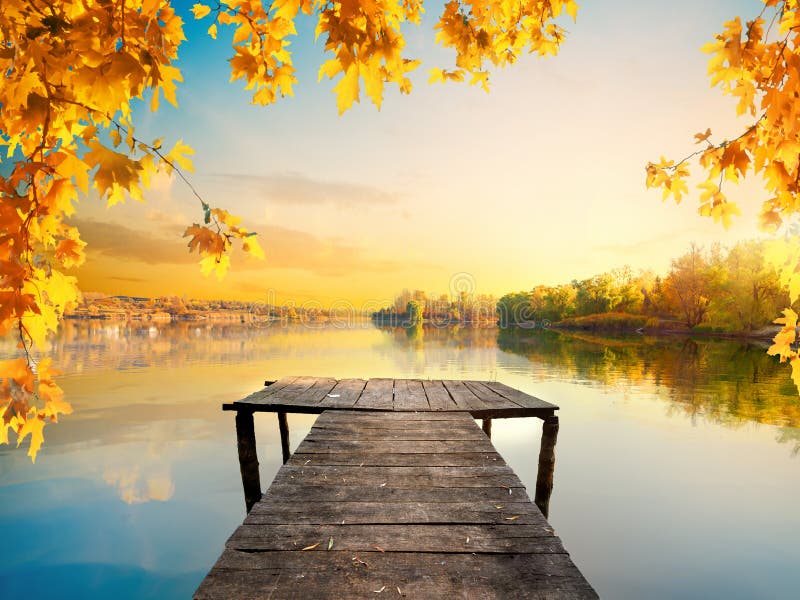 Autumn and calm pond stock image. Image of ecology, pond - 161517021
