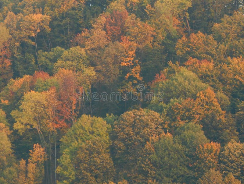 Autumn camo stock image. Image of hill, europe, traveling - 109236173