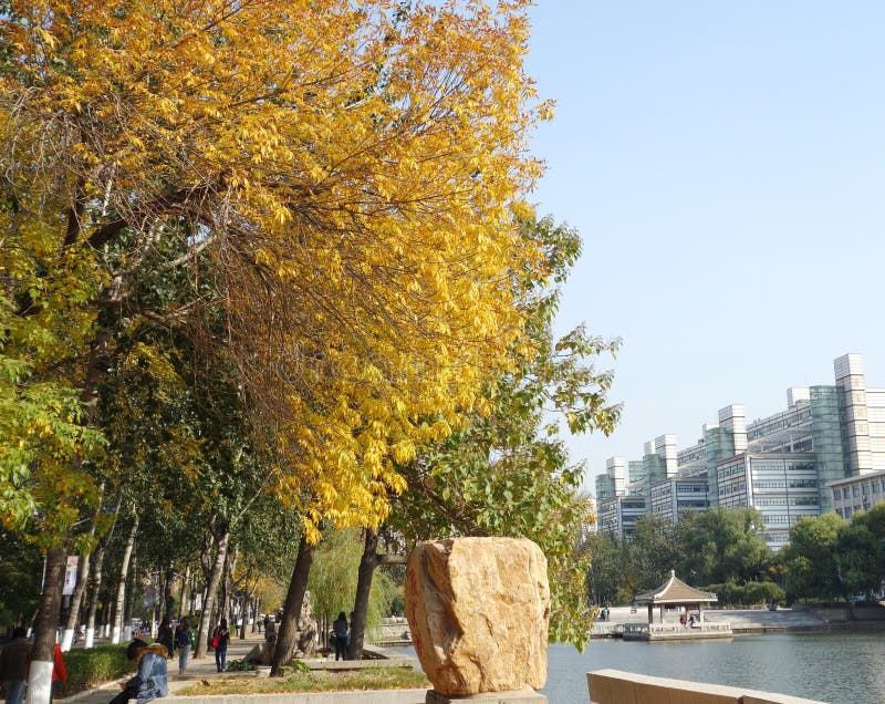 Autumn campus editorial stock image. Image of leaves - 46296109