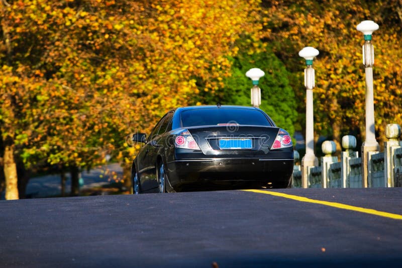Autumn car stock image. Image of nature, safari, line - 7082707