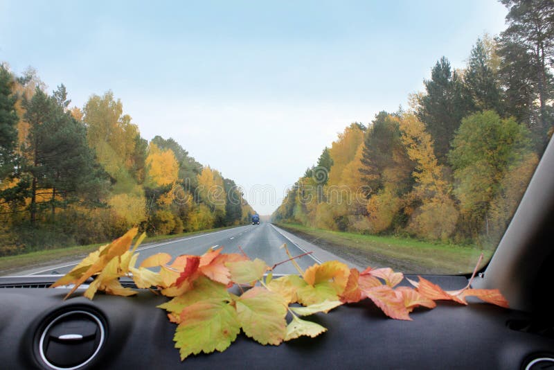 Autumn in the car stock photo. Image of window, windshield - 59959606