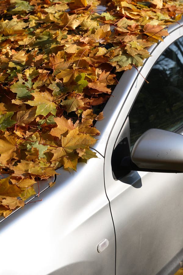 Autumn Car stock photo. Image of transport, weather, diversity - 45589296