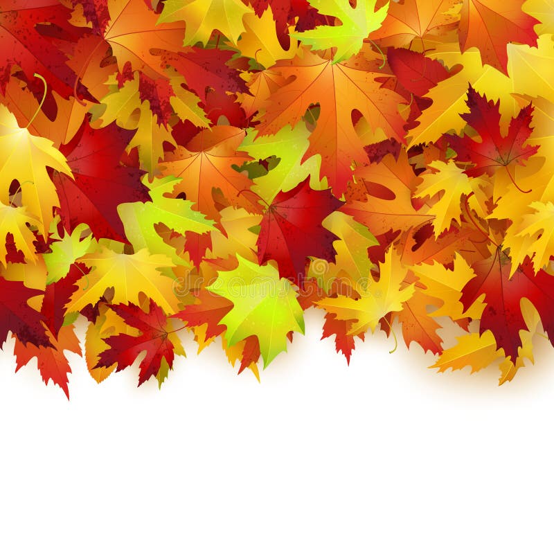 Autumn Card, Colorful Leaves Frame, Background, Template Stock Vector ...