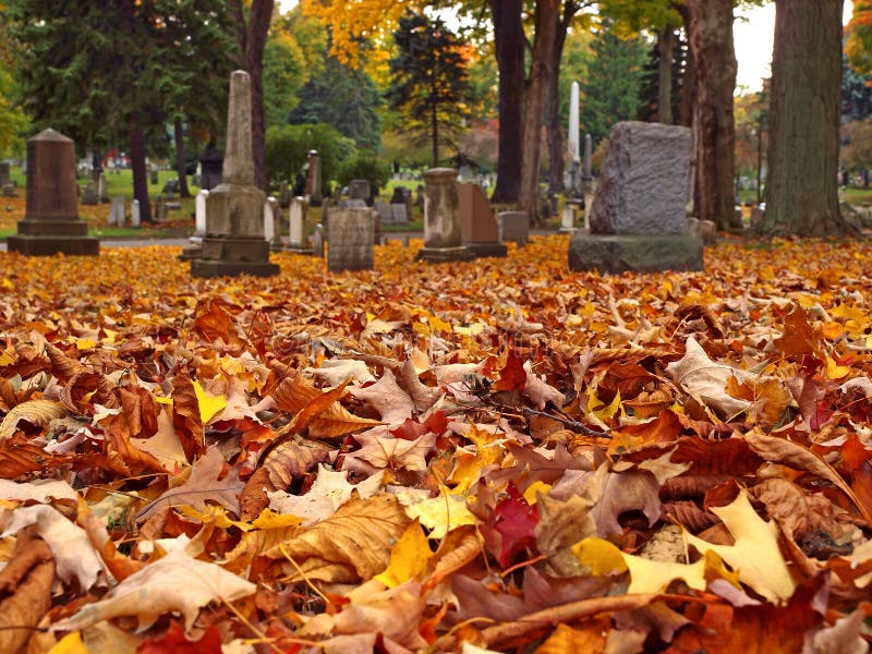 Autumn cemetery stock photo. Image of fall, buried, colors - 15958486