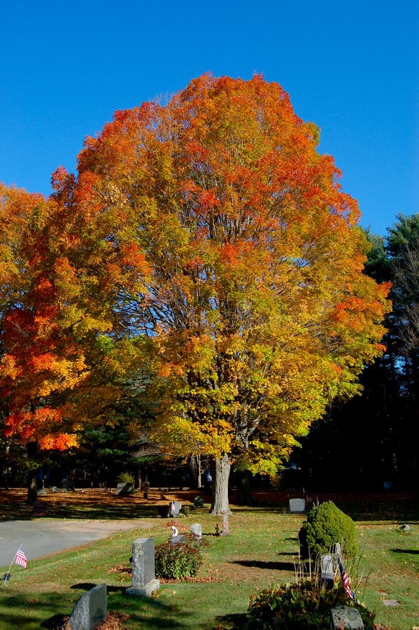 Autumn in the cemetery stock image. Image of autumn, tombstone - 27227927