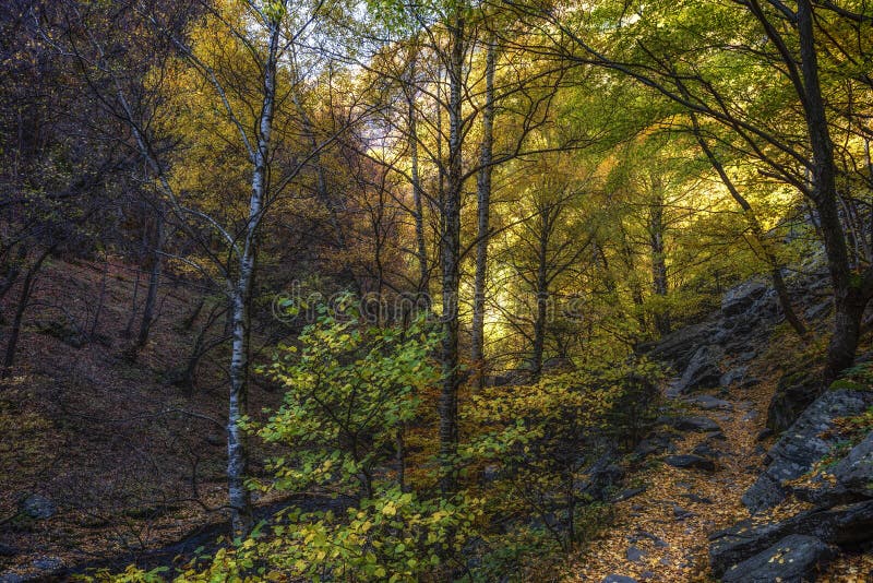 Autumn in Central Balkan National Park in Bulgaria Stock Photo - Image ...