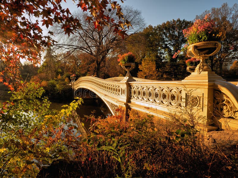 Autumn in Central Park at the Bow Bridge Stock Image - Image of trees ...