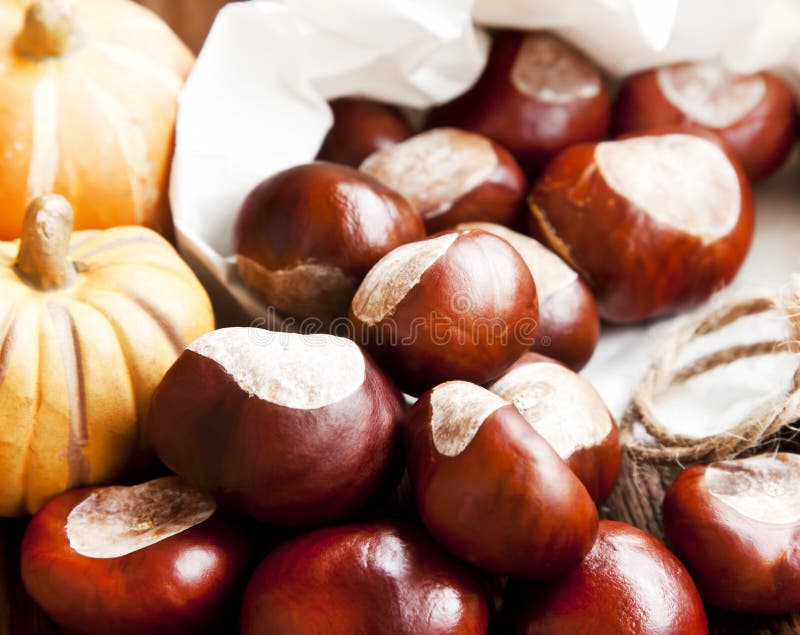 Autumn Chestnuts stock image. Image of gourmet, chestnuts - 45843375